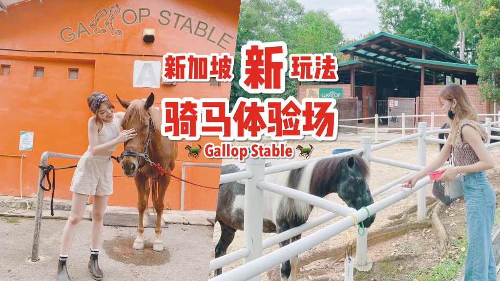 周末新玩法！新加坡骑马好去处Gallop Stable🐎 一站式体验活动！走进动物世界骑马喂小兔🐰🐎 - 🇸🇬新加坡省钱皇后-皇后情报局