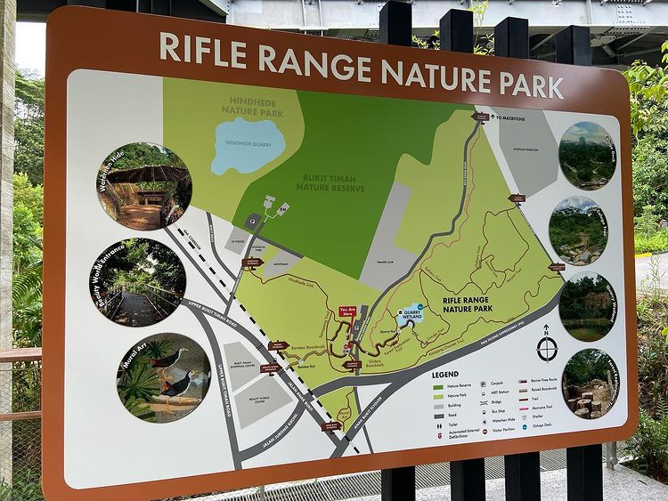最新网红打卡公园！Rifle Range Nature Park徒步攻略👣7公里步道、登31米瞭望台高空俯瞰风景！ - 🇸🇬新加坡省钱皇后-皇后情报局