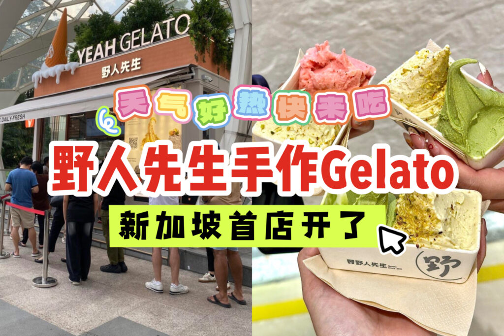 🇨🇳野人先生手作Gelato来到新加坡咯！低脂低糖很健康！大热天吃上这一支，爽🥶 - 🇸🇬新加坡省钱皇后-皇后情报局